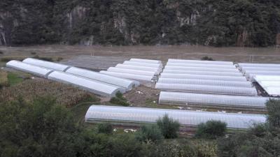 China High-strength Hot-dip Galvanized Steel Frame Greenhouse with Wind and Snow Load Resistance and Modular Design for Agriculture for sale