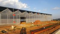 China Customizable Size Hot-dip Galvanized Steel Greenhouse with Prefabricated Assembly for Agricultural Structures for sale