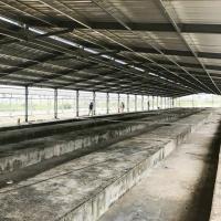 China Customized Q355b Hot-Dipped Galvanized Steel Poultry Farm House with 50 Years Worklife and High-Density Rockwool Insulation for sale