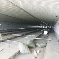 China Customized Q355b Hot-Dipped Galvanized Steel Poultry Farm House with 50 Years Worklife and High-Density Rockwool Insulation for sale