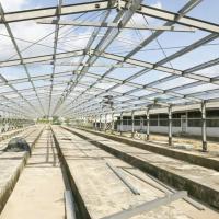 China Customized Q355b Hot-Dipped Galvanized Steel Poultry Farm House with 50 Years Worklife and High-Density Rockwool Insulation for sale