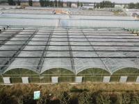 China Durable Multi-Span Commercial Greenhouse with Hot-Dip Galvanized Q235 Steel and Rack-and-Pinion Ventilation for sale