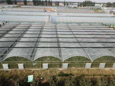 China Durable Multi-Span Commercial Greenhouse with Hot-Dip Galvanized Q235 Steel and Rack-and-Pinion Ventilation for sale