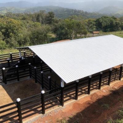 China Durable Galvanized Steel Structure Chicken House with 50+ Years Service Life and 200 km/h Wind Resistance for sale