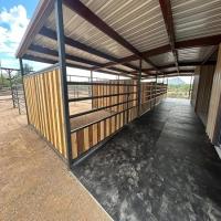 China Durable Galvanized Steel Structure Chicken House with 50+ Years Service Life and 200 km/h Wind Resistance for sale