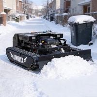 China European Spot Gas Powered Remote Lawn Mower All Terrain Crawler Grass Cutter in Stock, High Power Strong Cutting Force Suit for sale