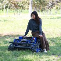 China European Spot Slope Special Remote Control Tracked Mower Low Center of Gravity Anti Rollover Stable Work on 45° Lawn Mower for sale