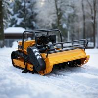 China European Spot Widened Track Remote Control Mower Anti Slip Anti Sink Suitable Gasoline Flail Mowers for sale