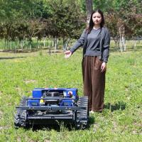 China European Spot Tracked Remote Control Mower All Terrain for Hillsides Orchards River Embankments Gas-powered Lawn Mower for sale