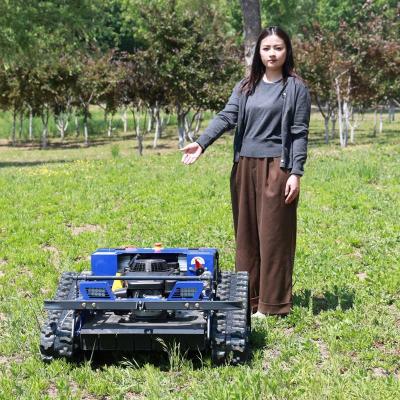 China European Spot Tracked Remote Control Mower All Terrain for Hillsides Orchards River Embankments Gas-powered Lawn Mower for sale