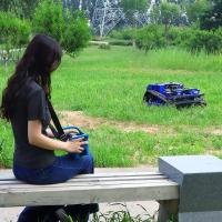 China US Spot Remote Control Crawler Mower Fast Mowing, Off-road Driving Structure Weeding Machine for Municipal Greening and Farmland for sale