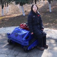 China All-Terrain Diesel Flail Mower Remote Control Crawler Agricultural Use DIY Industrial Self Propelled High Efficiency for sale