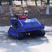 China All-Terrain Diesel Flail Mower Remote Control Crawler Agricultural Use DIY Industrial Self Propelled High Efficiency for sale