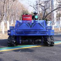 China All-Terrain Diesel Flail Mower Remote Control Crawler Agricultural Use DIY Industrial Self Propelled High Efficiency for sale