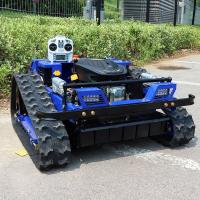 China 500mm CE EPA Self Propelled Cordless DIY Remote Control Lawn Mower All Terrain Grass Cutting for sale