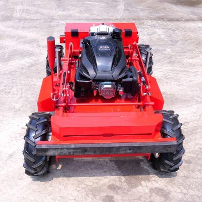 China Durable and Long-lasting 4-Stroke Single Cylinder DIY Grade Petrol Powered Wheeled Lawn Mower with Grass Box and 9.5HP for sale