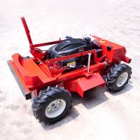China Durable and Long-lasting 4-Stroke Single Cylinder DIY Grade Petrol Powered Wheeled Lawn Mower with Grass Box and 9.5HP for sale