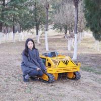 China Factory Direct Cordless Self Propelled Remote-controlled Lawn Mower with Flail Mower 150mm Track Width for Estate Lawns for sale