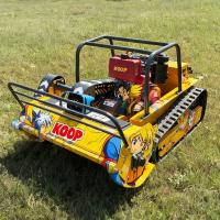 China Factory Direct Sales DIY 800mm Cutting Mini Smart RC Lawn Mower with Grass Box Single Cylinder Engine for sale