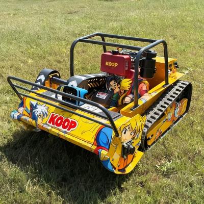 China Factory Direct Sales DIY 800mm Cutting Mini Smart RC Lawn Mower with Grass Box Single Cylinder Engine for sale