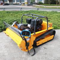China Factory Direct Sales DIY 800mm Cutting Mini Smart RC Lawn Mower with Grass Box Single Cylinder Engine for sale