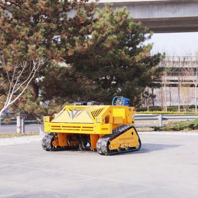 China Professional Flail Mower with Sharp Cutting Blades, Perfect for Large Area Grass Trimming, Strong Power for sale