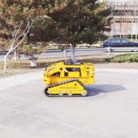 China Professional Flail Mower with Sharp Cutting Blades, Perfect for Large Area Grass Trimming, Strong Power for sale