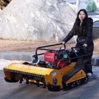 China Self Propelled Flail Mower With Adjustable Cutting Height for Home Garden and Park Care Flail Mower for sale