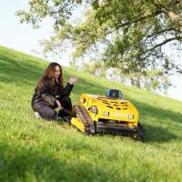 China Multipurpose Lawn Mower Designed for Rough Grass and Regular Lawn Maintenance, Sturdy Construction, Villas and Public Gardens for sale