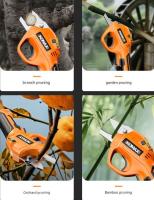 China Electric Lopper & Branch Cutter, Cordless Power Pruner for Thick Branches, Charging Garden Tool for Orchard for sale
