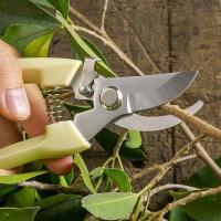 China Heavy Duty Stainless Steel Pruning Shears Powerful Garden Branch Cutter for sale