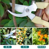 China Heavy Duty Stainless Steel Pruning Shears Powerful Garden Branch Cutter for sale