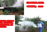 China Gasoline Pulse Thermal Fogger for Street, Community Disinfection and Garden Pest Control Fog Machine for sale