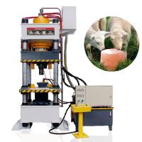 China ZYZG 800 Ton YZ-630T Four-column Four-beam Hydraulic Press for Animal Licking Mineral Salt Block Making for sale