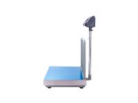 China Customizable Stainless Steel Electronic Weighing Machine 500kg With Guardrail for sale