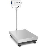 China High Precision Bench Weighing Scale For Industry Multi Functional Weighing Solution for sale