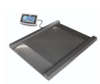 China IP67 Stainless Steel Floor Scale For Construction High Mobility for sale