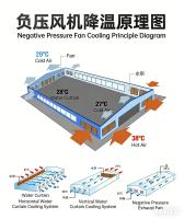 China Negative Pressure Fans High-power Industrial Exhaust Fans Cooling Fans Ventilation Fans for Workshop Exhaust Fans for sale