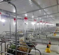 China Corrosion Resistant Powder Coated Livestock Equipment with Rounded Edges for Safe Farm Tools for sale