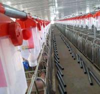 China Corrosion Resistant Powder Coated Livestock Equipment with Rounded Edges for Safe Farm Tools for sale