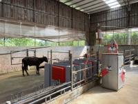 China Livestock Equipment Powder Coated Corrosion Resistant Cattle Crush For Low Maintenance Animal Restraint Cow Chute For Farm Veterinary Use for sale