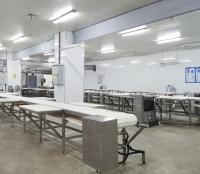 China Slaughtering Equipment Semi-Automatic Stainless Steel PLC Control 220V/380V For Pig Cattle Sheep Complete Abattoir Processing Line CE Certified for sale