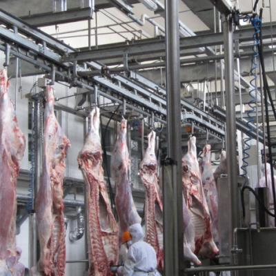 China Slaughtering Equipment Semi-Automatic Stainless Steel PLC Control 220V/380V For Pig Cattle Sheep Complete Abattoir Processing Line CE Certified for sale