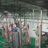 China Slaughtering Equipment Stainless Steel PLC Control Automatic Conveying Slaughter Line For Efficient Animal Meat Processing CE Certified for sale