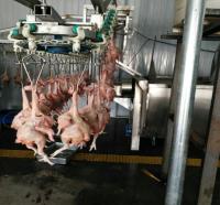 China Poultry Processing Machine PLC Control 3-5KW Motor Power High Efficient Chicken Duck Goose Slaughtering Production Line CE Certified for sale