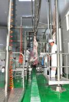 China Stainless Steel Slaughtering Equipment with PLC Control and GB Standard for Efficient Meat Processing for sale