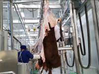 China Stainless Steel Slaughtering Equipment with PLC Control and GB Standard for Efficient Meat Processing for sale