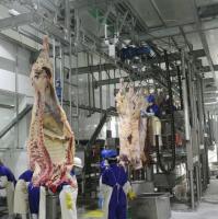 China Stainless Steel Slaughtering Equipment with PLC Control and GB Standard for Efficient Meat Processing for sale