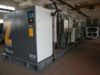 China PSA Nitrogen Generator 20-300SCFM for Oil and Gas Industry for sale