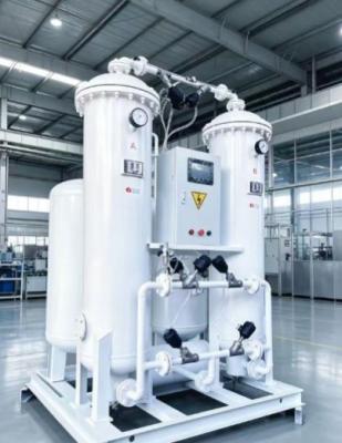 China Nitrogen Generator Equipment High Flow Rate PSA N2 Production Plant 300 Nm3/H for sale